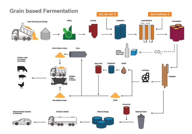 Fermentation Enhancers India - Distilleries - Praras Biosciences