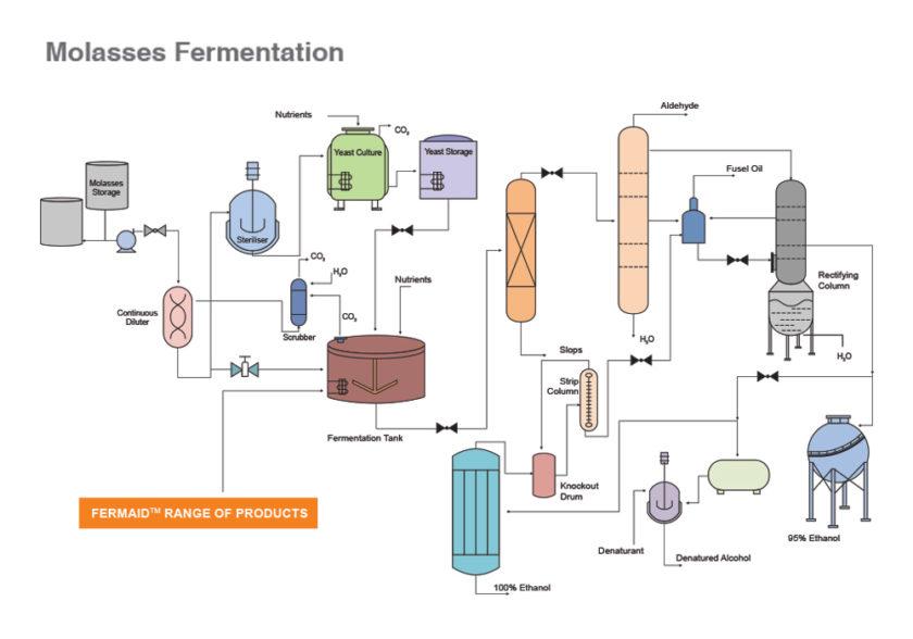 Fermentation Enhancers India - Distilleries - Praras Biosciences