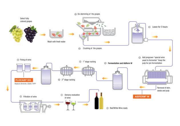 Fermentation Aids For Winemaking - Wine Fining Agent